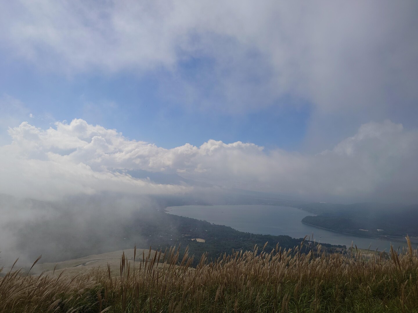 《山梨》三国山・鉄砲木ノ頭 縦走 / nazさんの三国山・大洞山・不老山の活動データ | YAMAP / ヤマップ