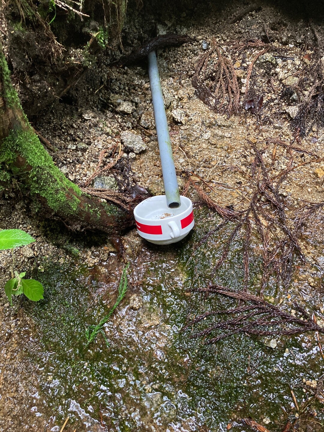 maaasanさんの投稿したフィールドメモ | YAMAP / ヤマップ