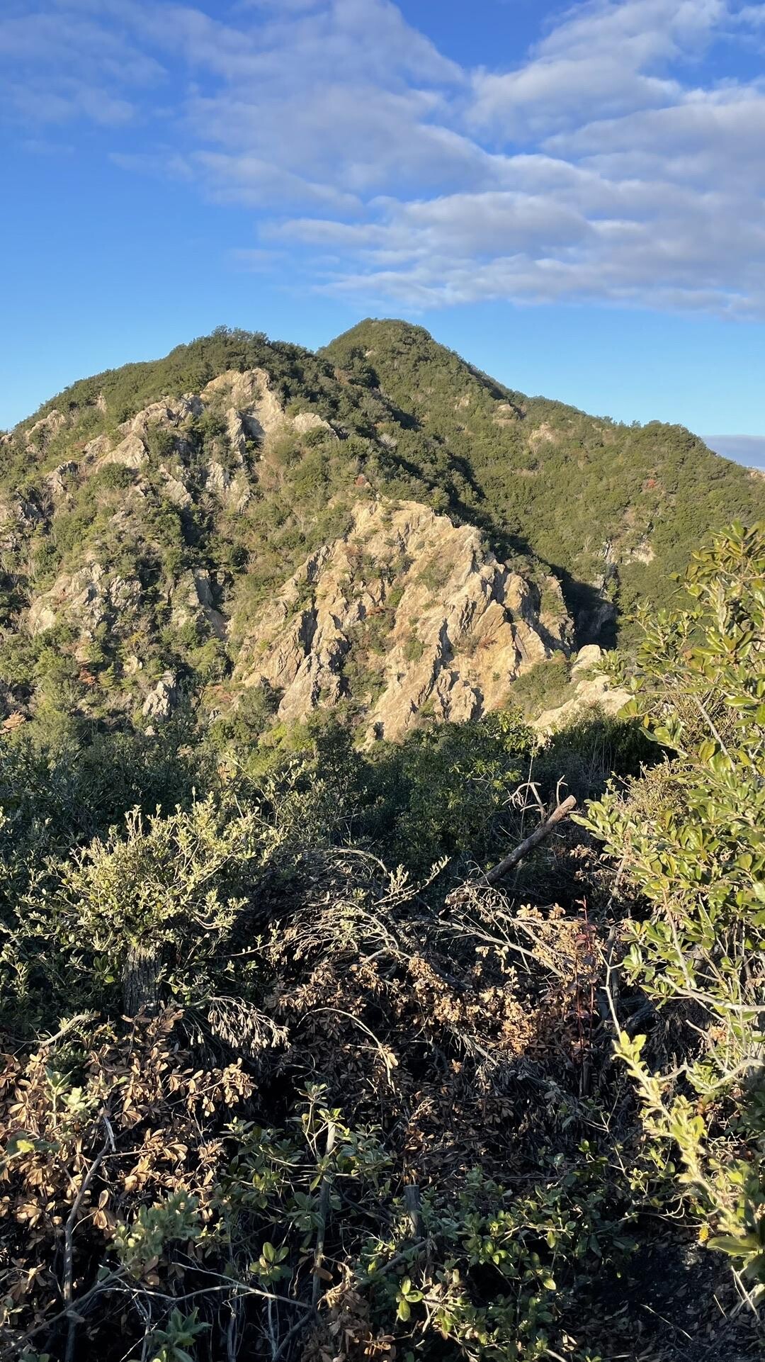 2023.11.25 六甲全山縦走行って... / riwonさんのモーメント | YAMAP / ヤマップ