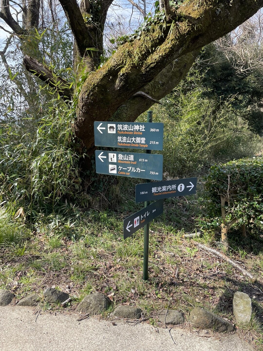 筑波山（男体山871m・女体山877m） / CHIEsさんの筑波山の活動データ | YAMAP / ヤマップ