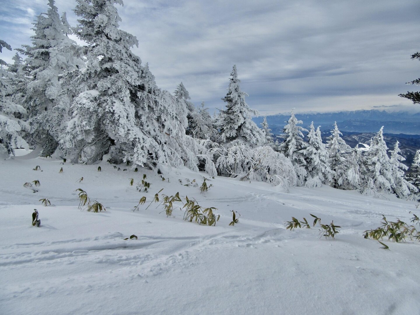 根子岳・小根子岳 / e_kuneさんの四阿山・根子岳の活動データ | YAMAP / ヤマップ