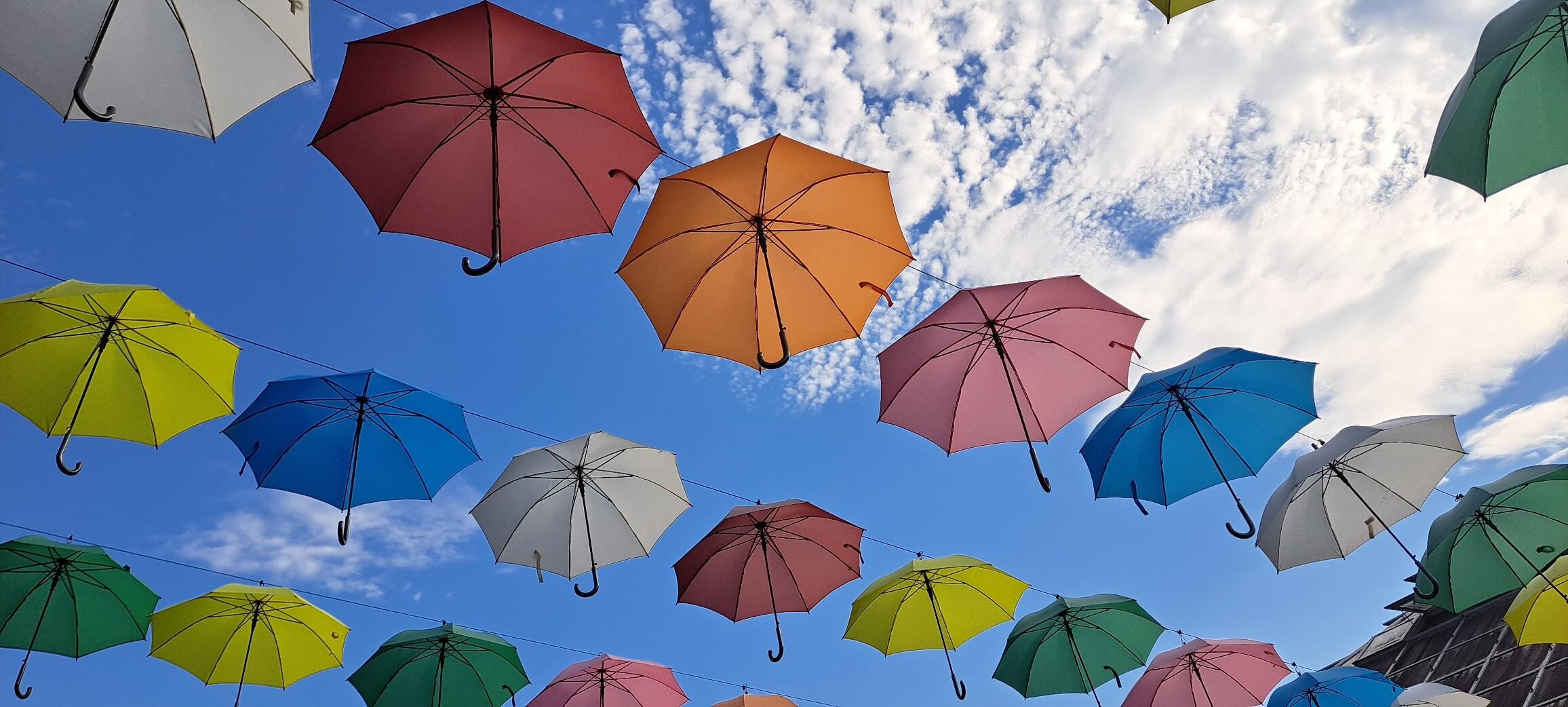 暑い日が続いていますので、どうぞご自愛く... / ゆき(-.-)y-~さんのモーメント | YAMAP / ヤマップ