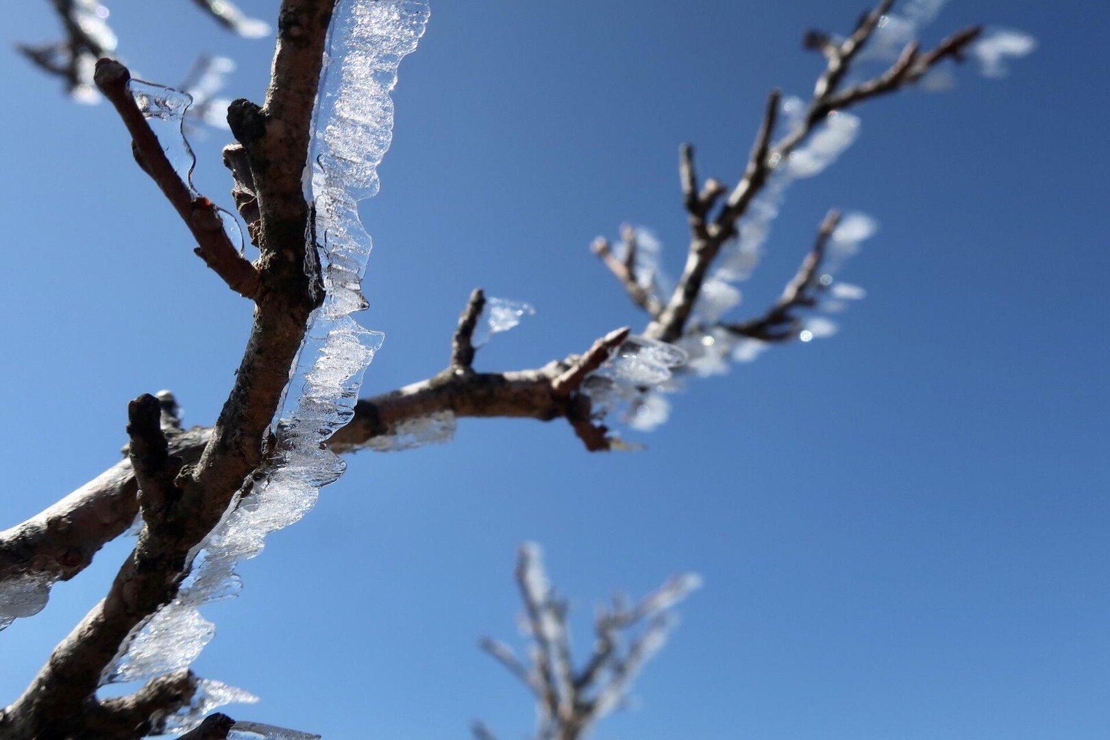 🏆SUZUKA SEVEN🏆completed⛰ 御在所岳・沢谷ノ頭・三人山・東雨乞岳・雨乞岳・鎌ヶ岳・弥一ヶ岳 / hansiさんの御在所岳（御在所山）・雨乞岳の活動データ | YAMAP ...