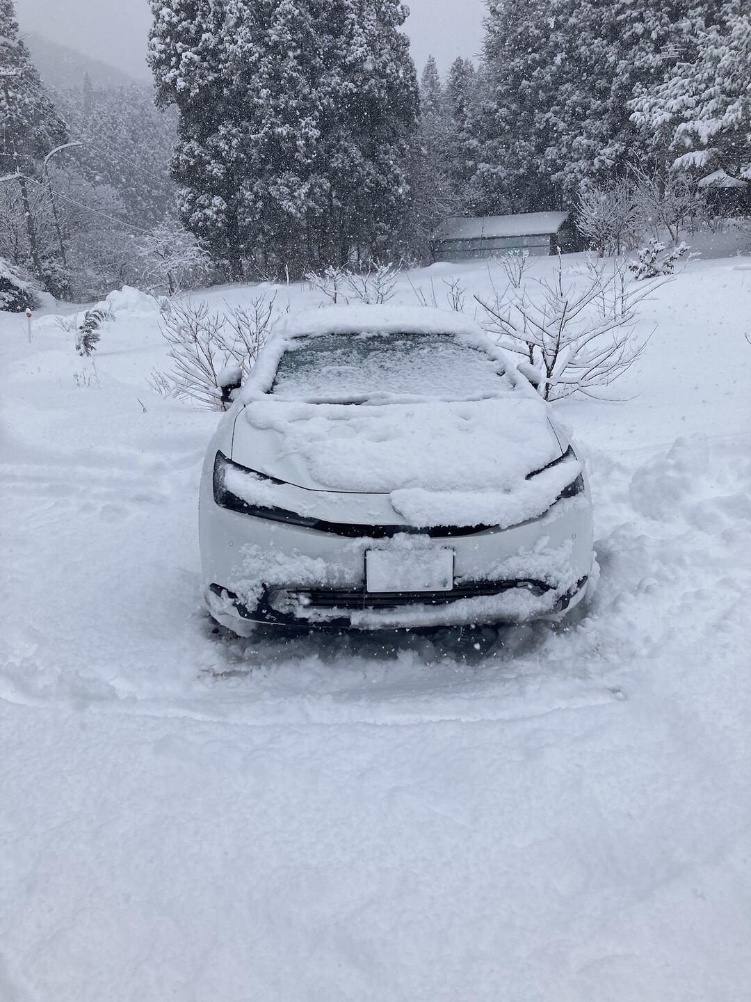 夜行バスで妻と2人 岩手の妻の祖母の家に... / junさんのモーメント | YAMAP / ヤマップ