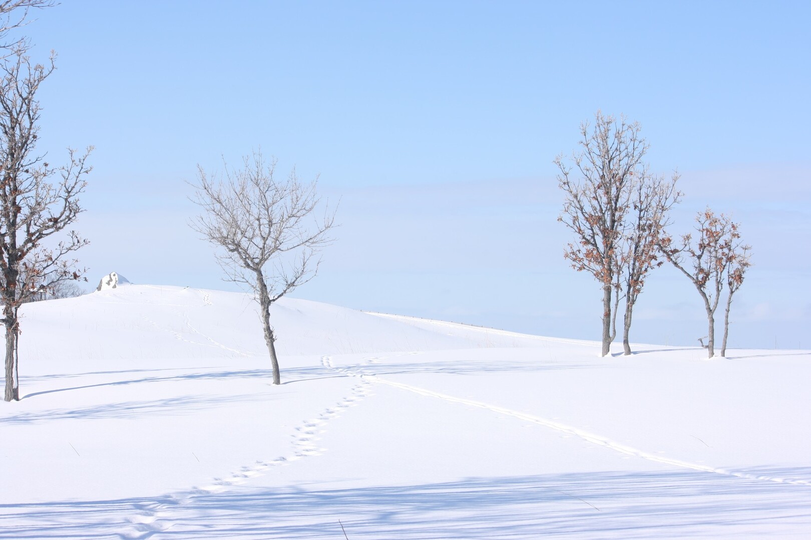 一眼レフで撮影【知床の森②】 / わっちゃんさんのモーメント | YAMAP / ヤマップ