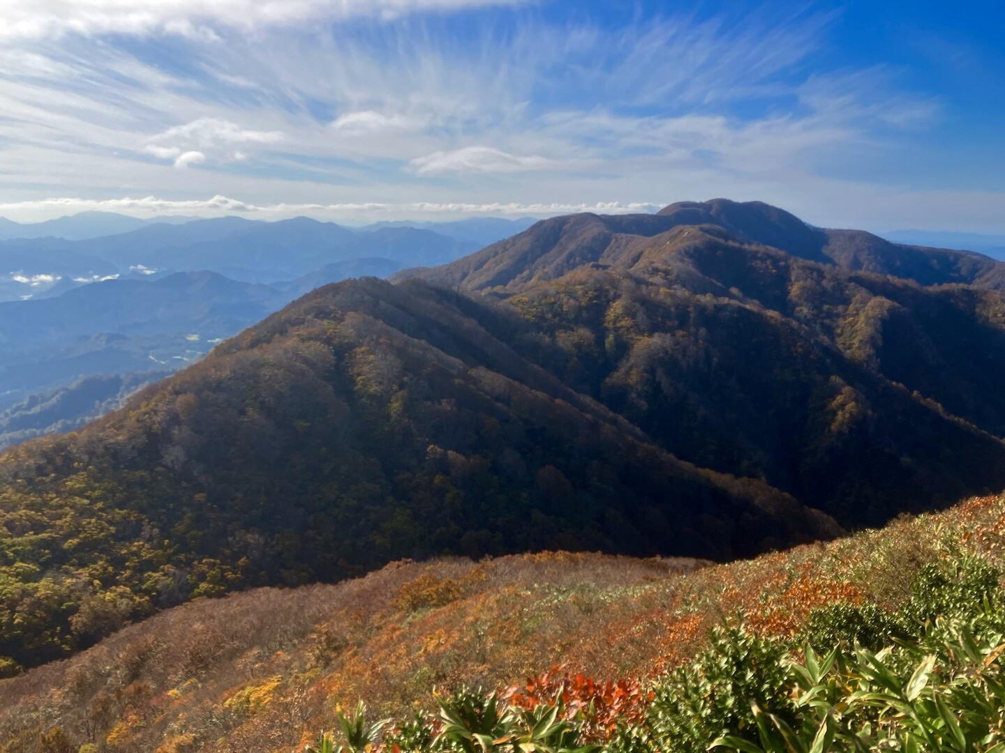 感謝感激 ︎五頭山 / Naluさんの五頭山・菱ヶ岳・宝珠山の活動データ | YAMAP / ヤマップ