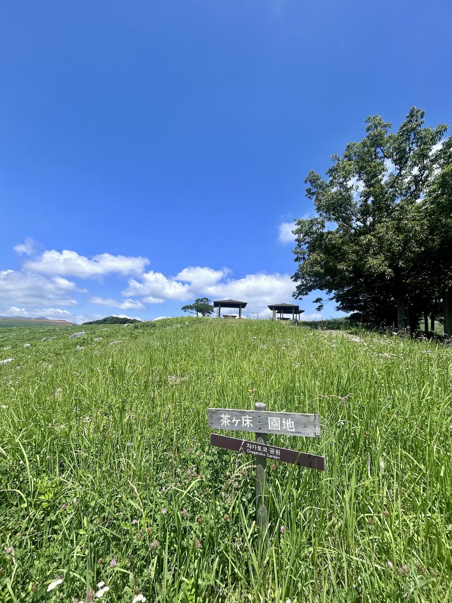 岩山だけ登頂🤭 / Chiekoさんの平尾台・貫山・水晶山の活動データ | YAMAP / ヤマップ