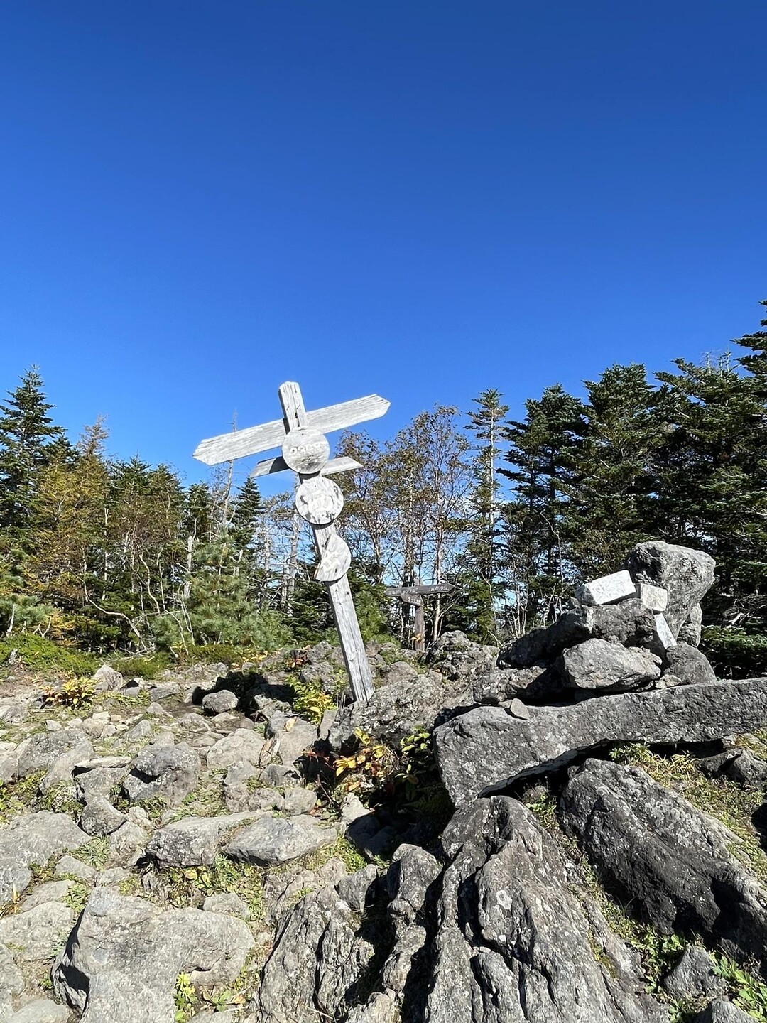 西岳（八ヶ岳） / Vega-tanさんの八ヶ岳（赤岳・硫黄岳・天狗岳）の活動データ | YAMAP / ヤマップ