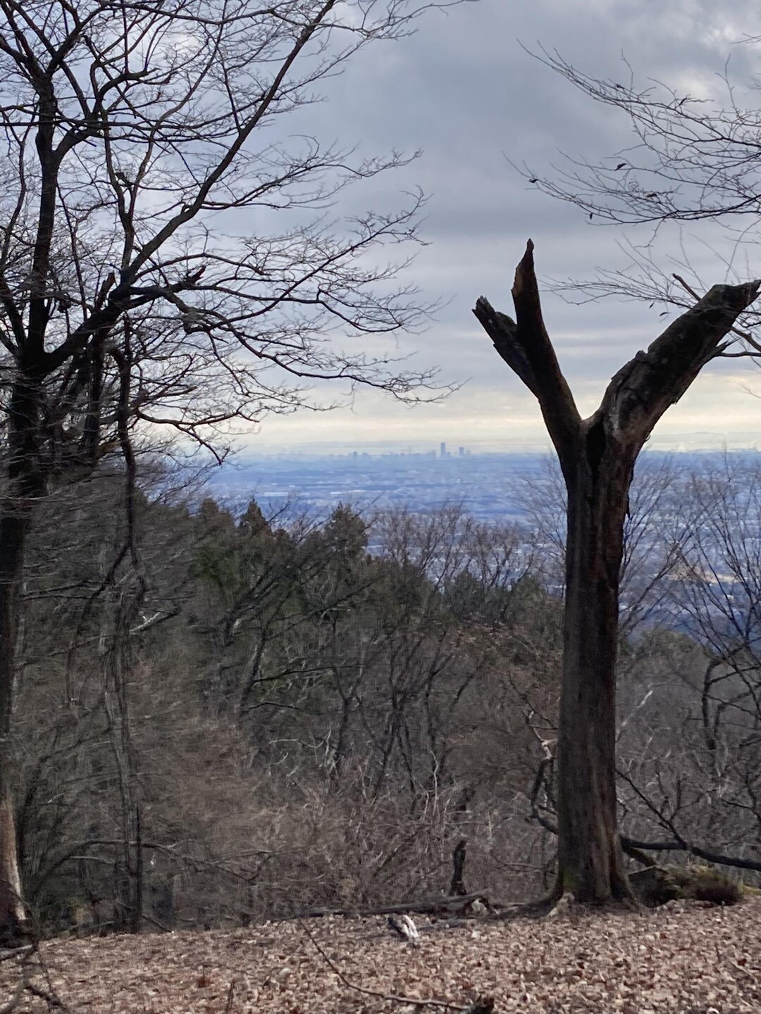 辺室山・三峰山(大山三峰山)・七沢山 / koroさんの大山の活動データ | YAMAP / ヤマップ