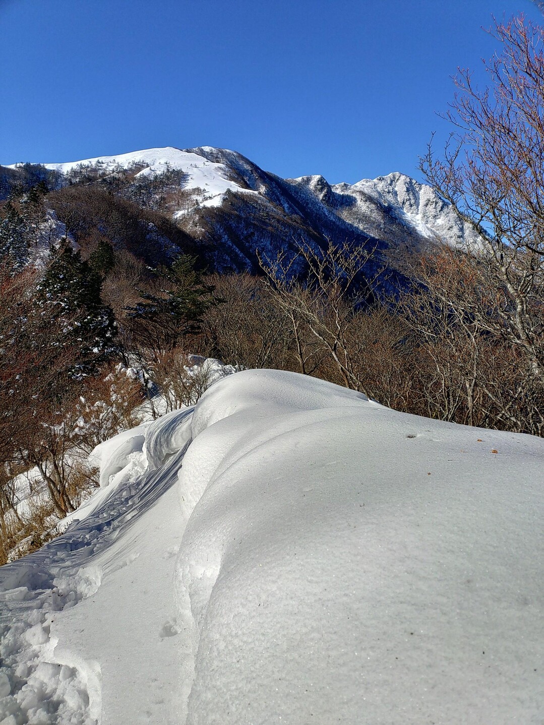 一年の計は元旦にあり / Jr.さんの笹ヶ峰・寒風山・平家平の活動日記 | YAMAP / ヤマップ
