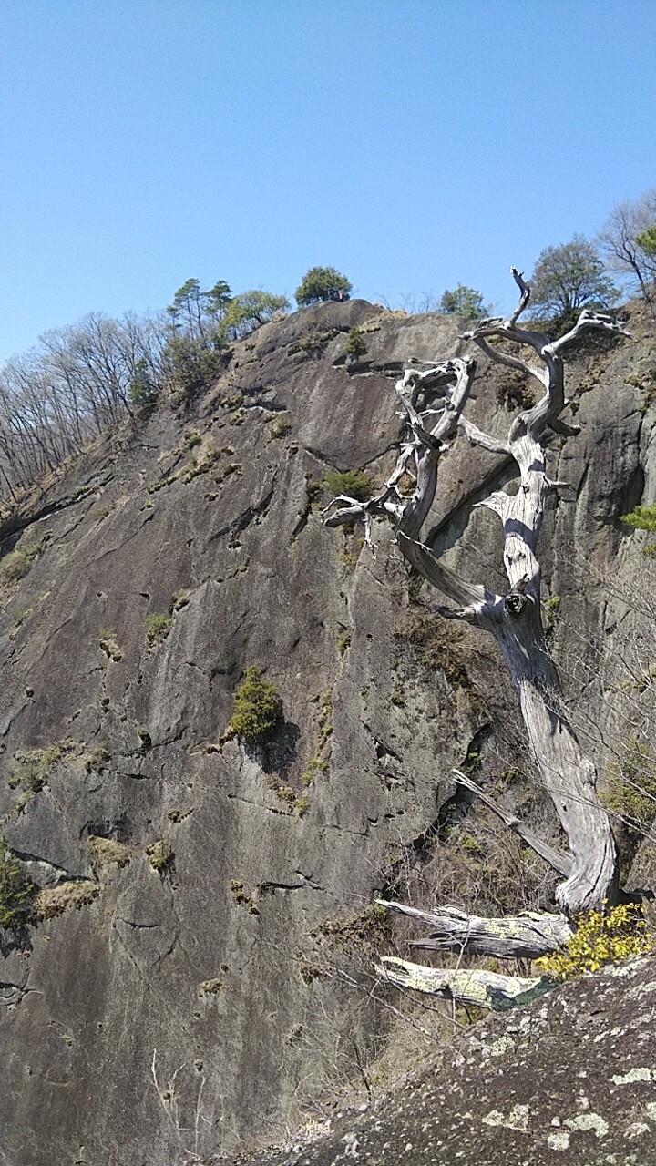 2022.04.09(土) 02:42 / へいぽーさんのモーメント | YAMAP / ヤマップ