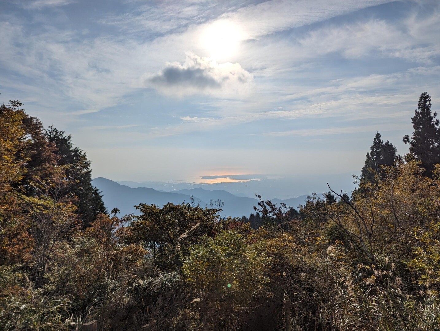 竜爪山(薬師岳)・ 竜爪山（文珠岳）・道白山 / nicomomoさんの竜爪山・薬師岳の活動データ | YAMAP / ヤマップ