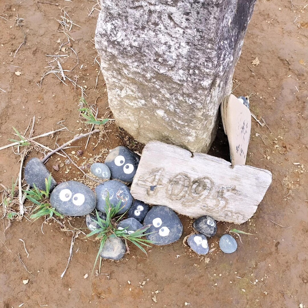 赤ぼっこ / eriさんの赤ぼっこの活動データ | YAMAP / ヤマップ