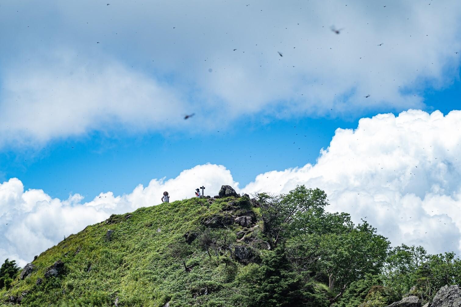 予兆 / Ymdさんの男体山の活動データ | YAMAP / ヤマップ