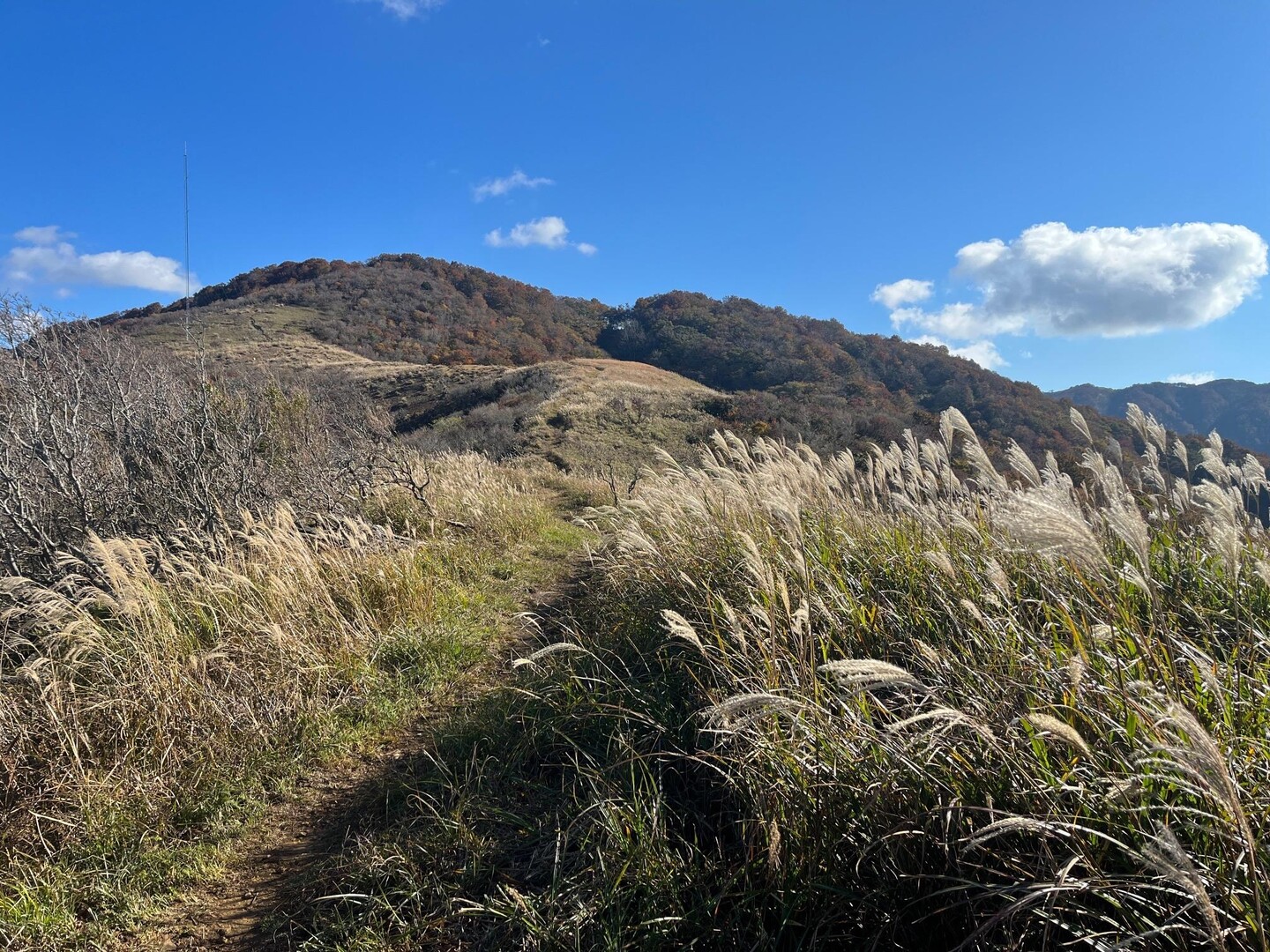 三十三間山・轆轤山 / kazunさんの三十三間山・三重嶽・武奈ヶ嶽の活動データ | YAMAP / ヤマップ