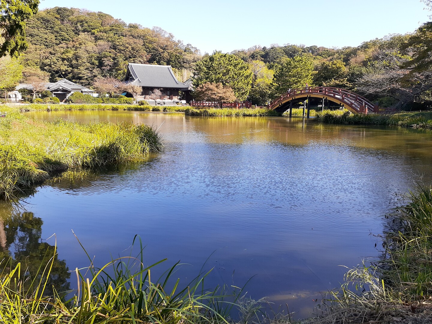 金沢山・稲荷山・日向山-2019-11-10 / ko usさんの金沢山・稲荷山・日向山の活動データ | YAMAP / ヤマップ