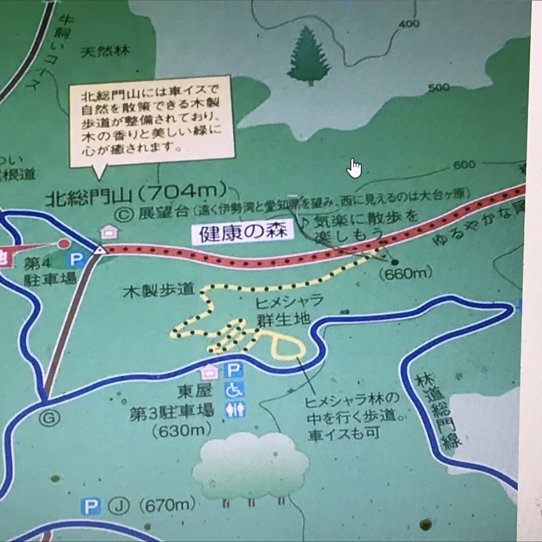 北総門山ヒメシャラの森→展望台 / issanさんの南亦山・総門山の活動データ | YAMAP / ヤマップ