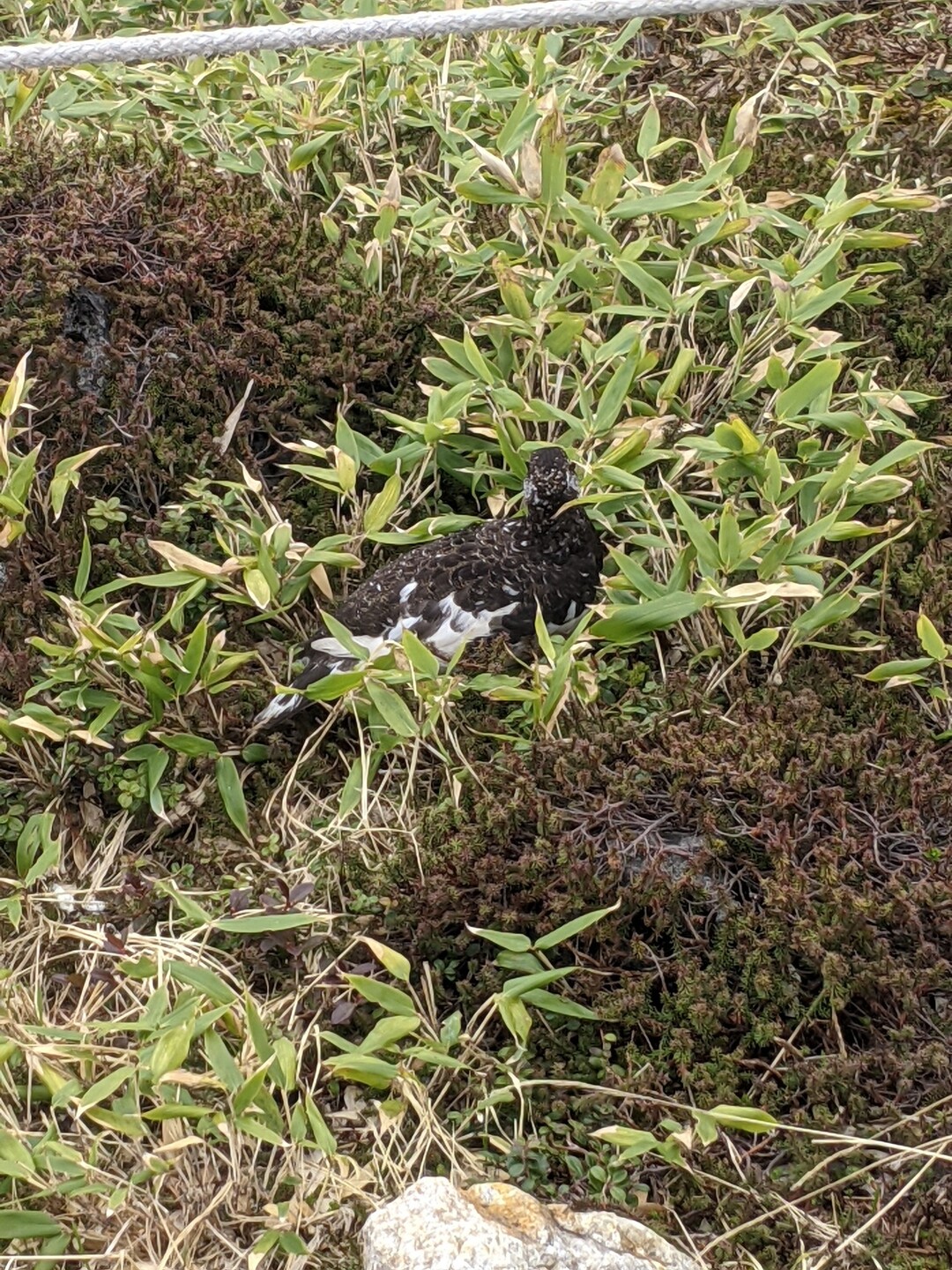 K.koichiのページ | YAMAP / ヤマップ