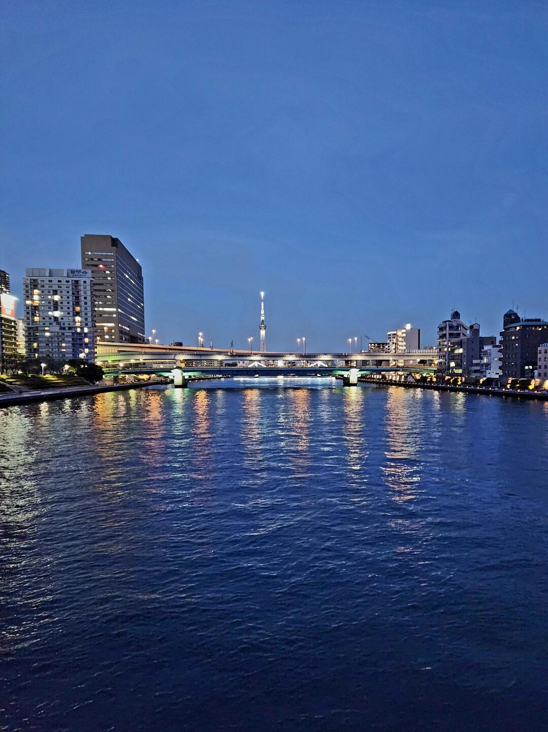 日本橋でライブ観賞後、永代橋までブラブラ... / 気紛れDAKARAさんのモーメント | YAMAP / ヤマップ