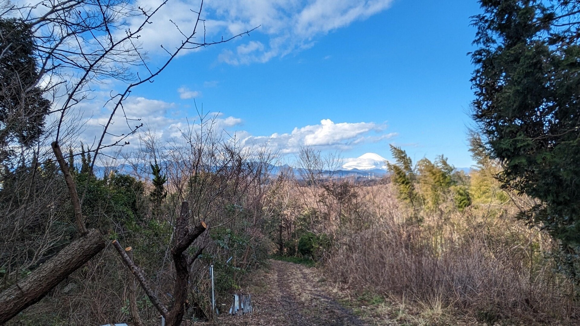 ko usさんの投稿したフィールドメモ | YAMAP / ヤマップ