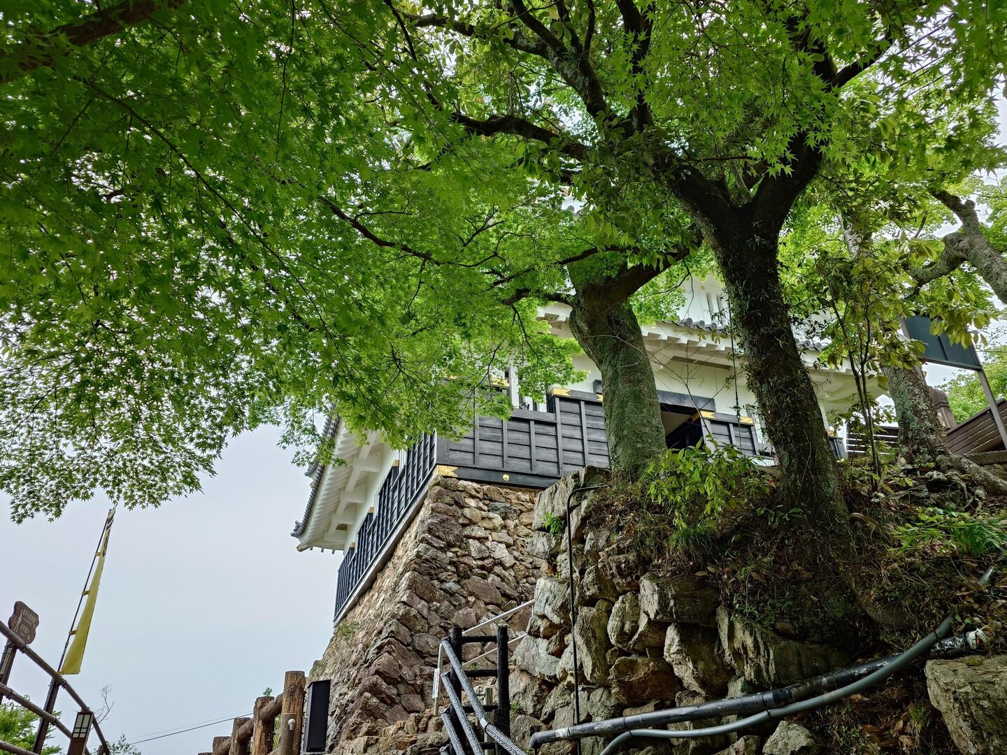 金華山 GW⑤ / 2543mさんの金華山・洞山・舟伏山の活動データ | YAMAP / ヤマップ