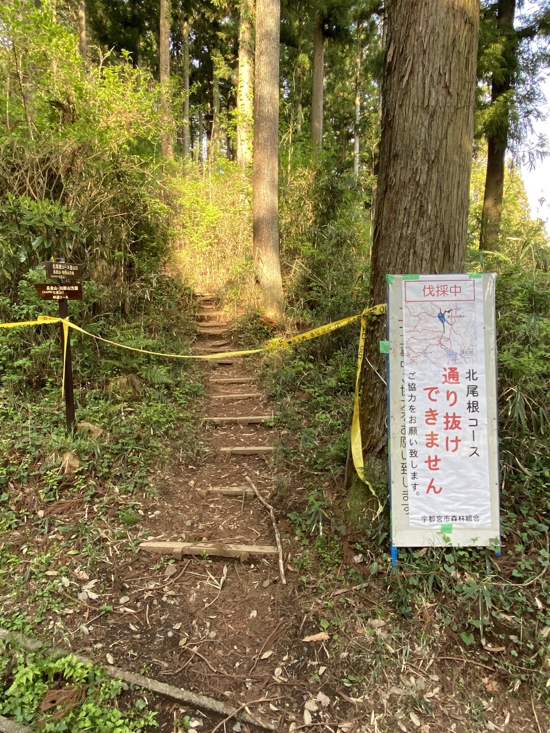 mitogoroさんの投稿したフィールドメモ | YAMAP / ヤマップ