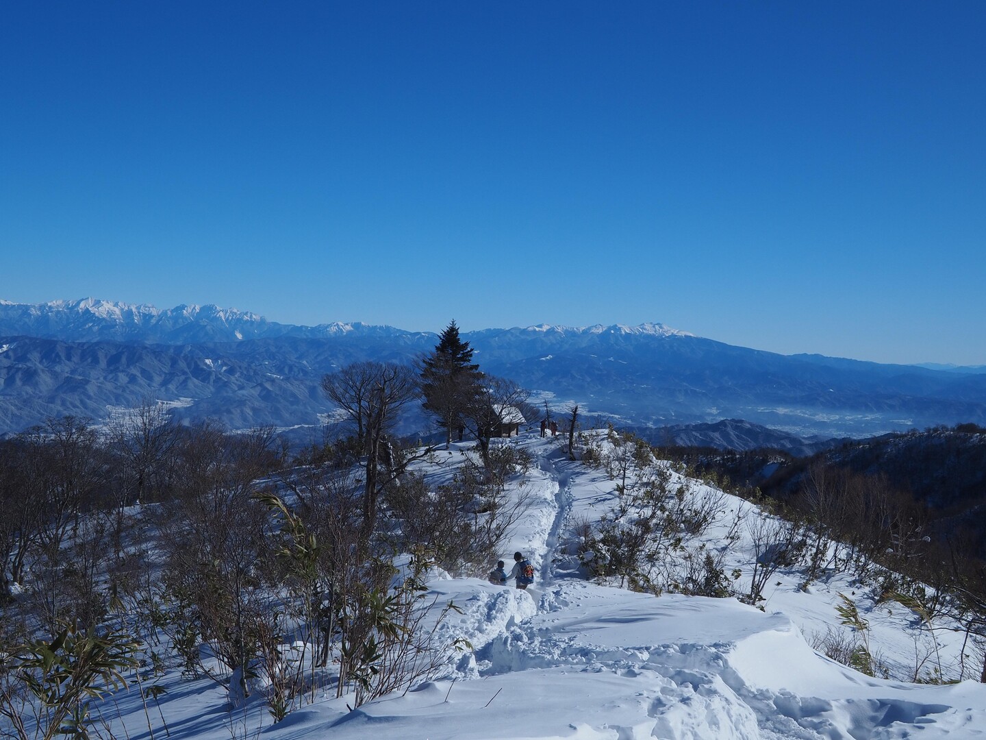 猪臥山 / ICHI JUNさんの猪臥山の活動データ | YAMAP / ヤマップ