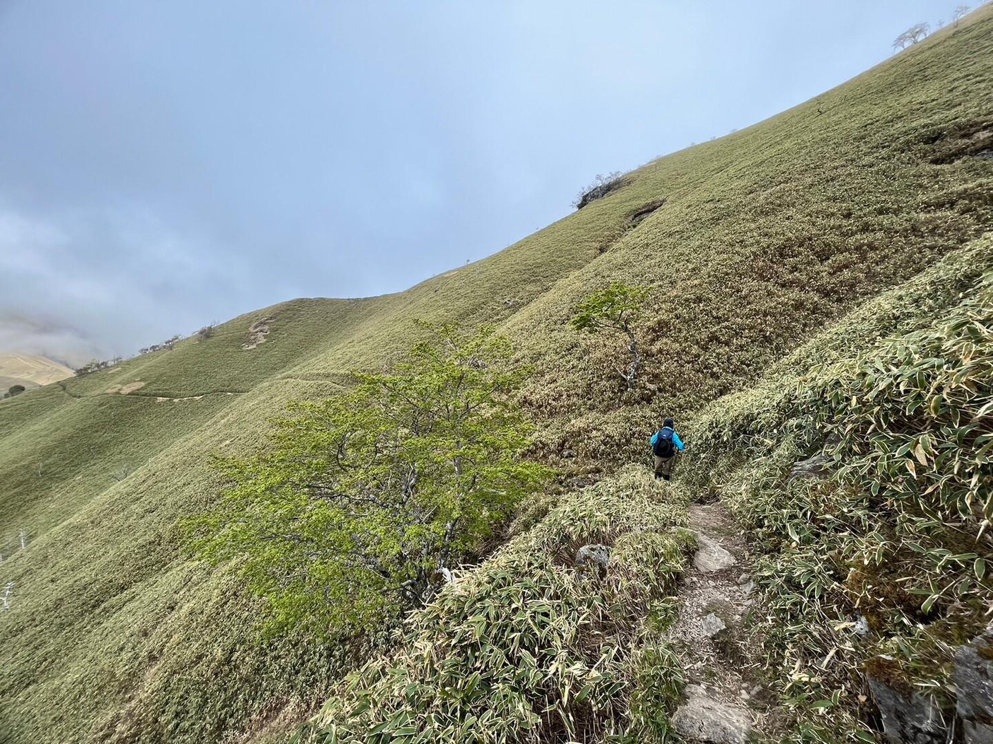 剣山・次郎笈 / maoさんの剣山の活動データ | YAMAP / ヤマップ