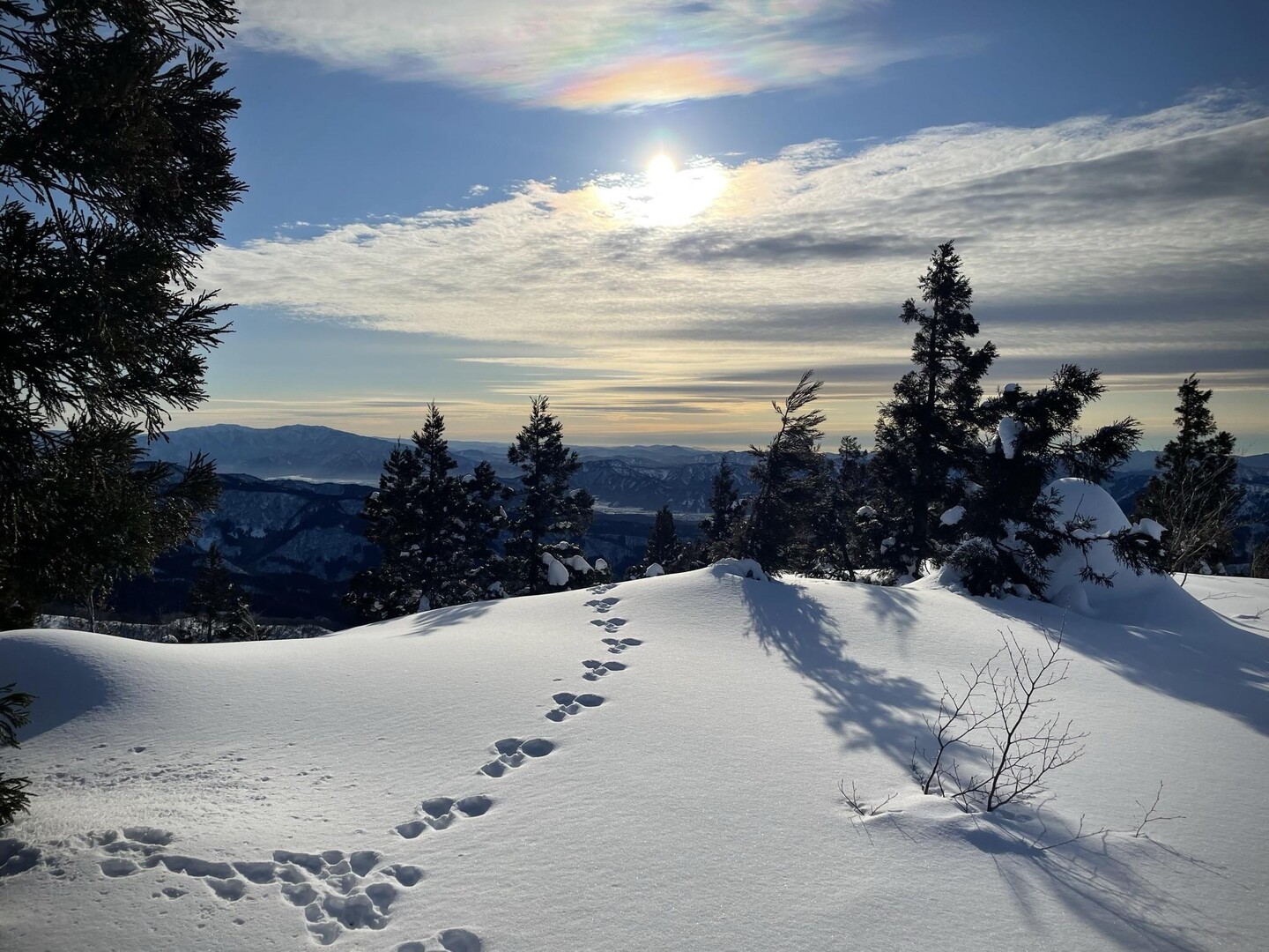 取立山～こつぶり山～護摩堂山⛄️☀️ / ai nknkさんの取立山の活動データ | YAMAP / ヤマップ