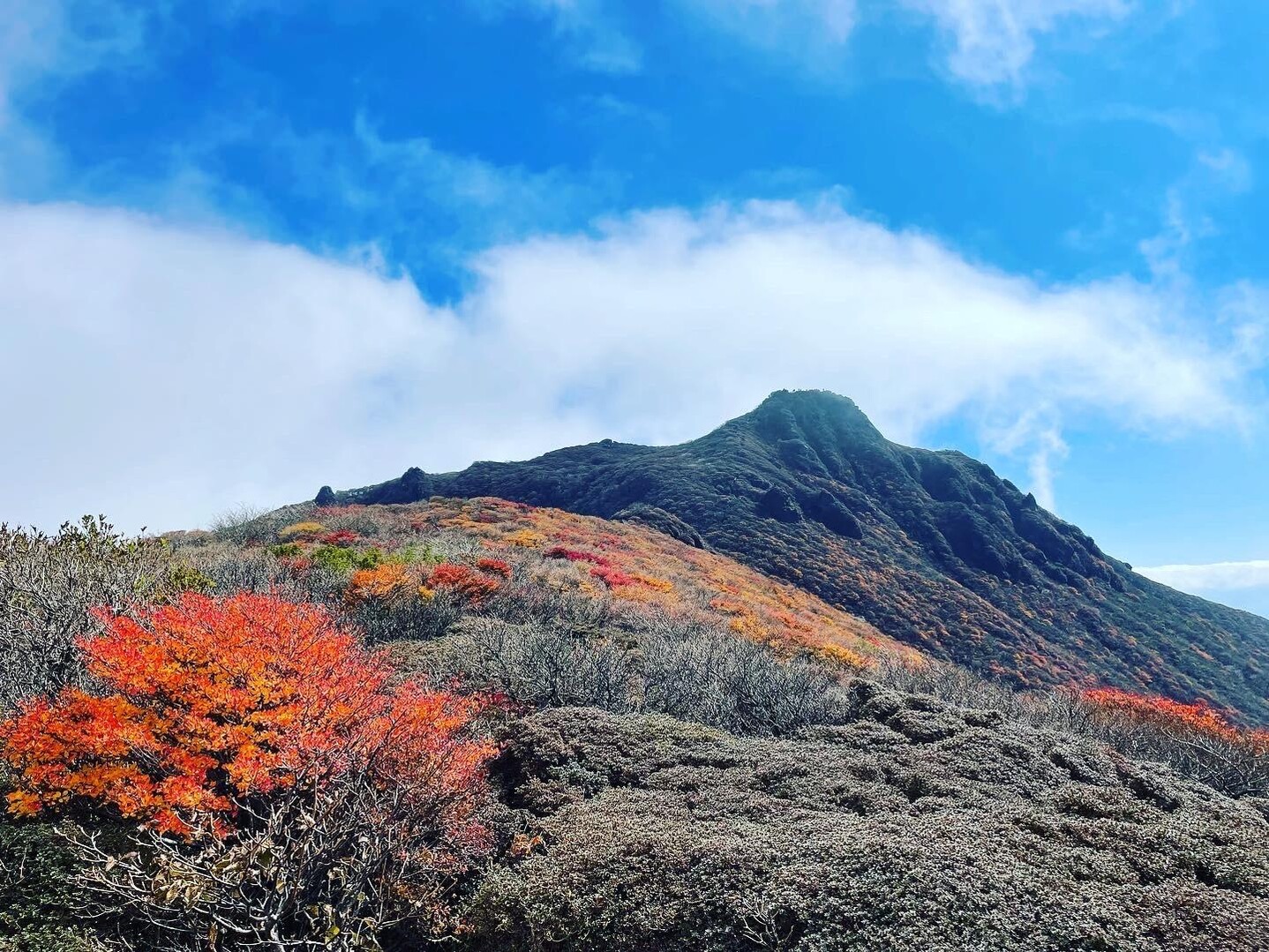 大船山⛰紅葉🍁 / ku〜さんのモーメント | YAMAP / ヤマップ