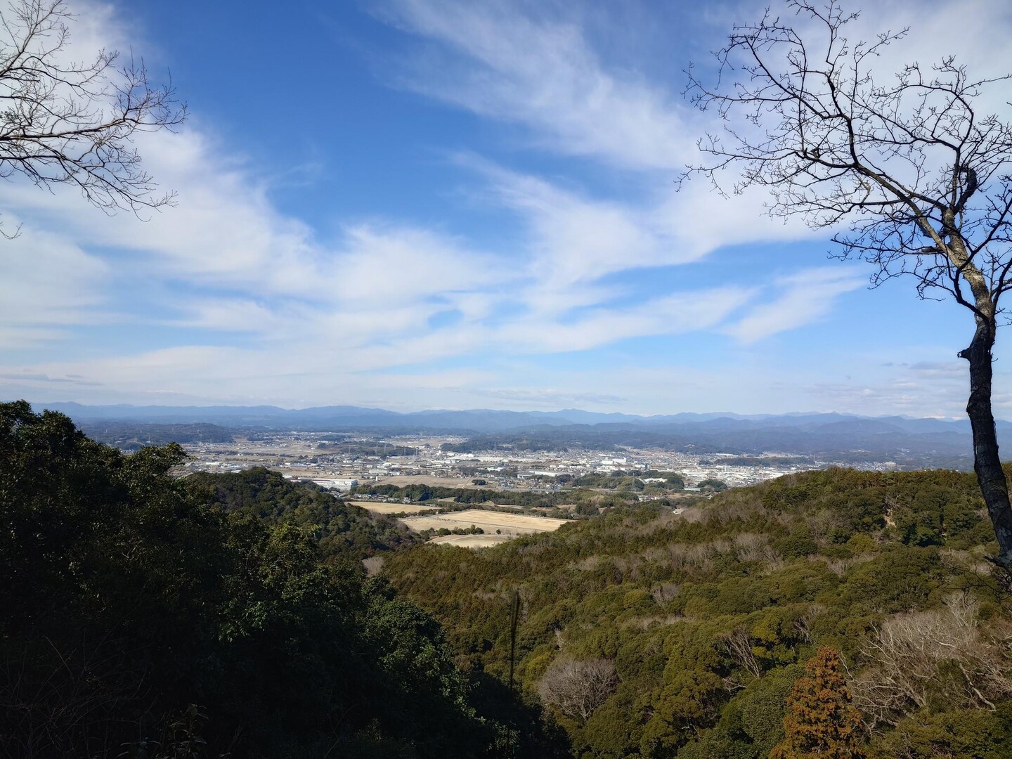 小笠山〜三ツ峰 / yagarinさんの小笠山の活動日記 | YAMAP / ヤマップ