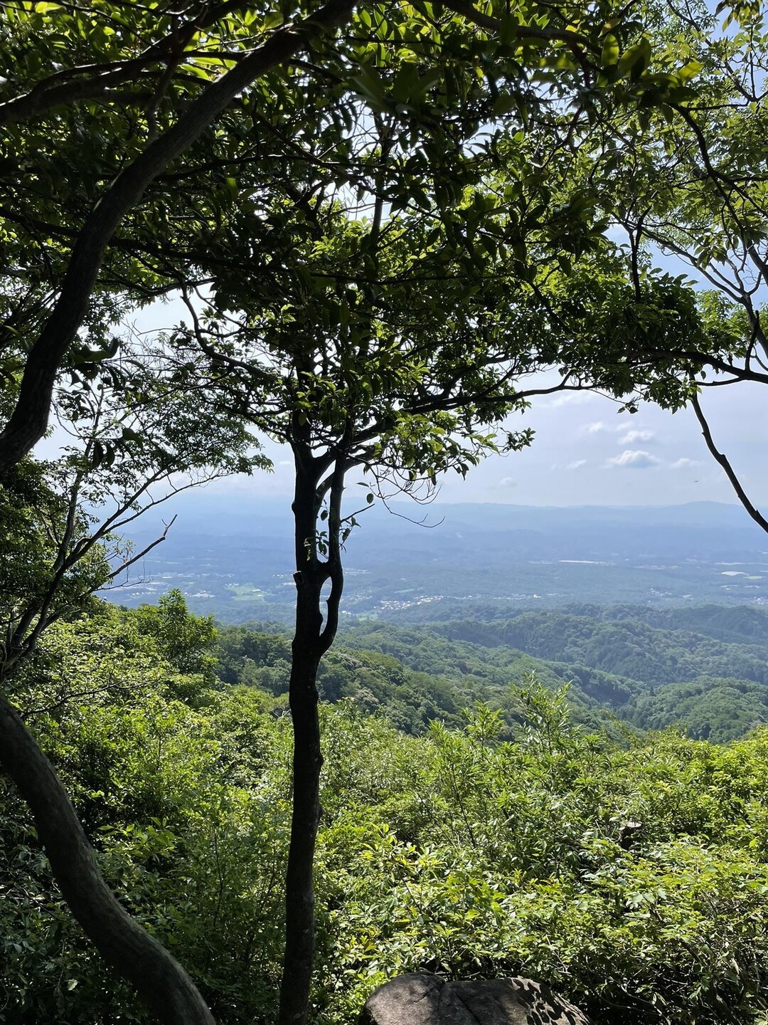 猿投山 / rinaさんの猿投山・物見山の活動データ | YAMAP / ヤマップ