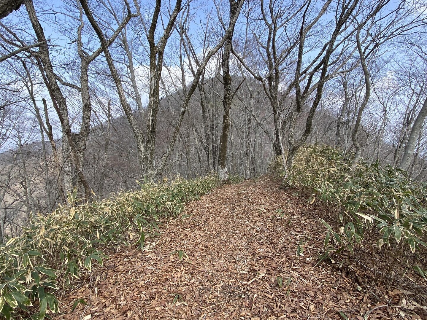 小五郎山で黄砂PM花粉まみれ😅 / こうじさんの小五郎山の活動データ | YAMAP / ヤマップ