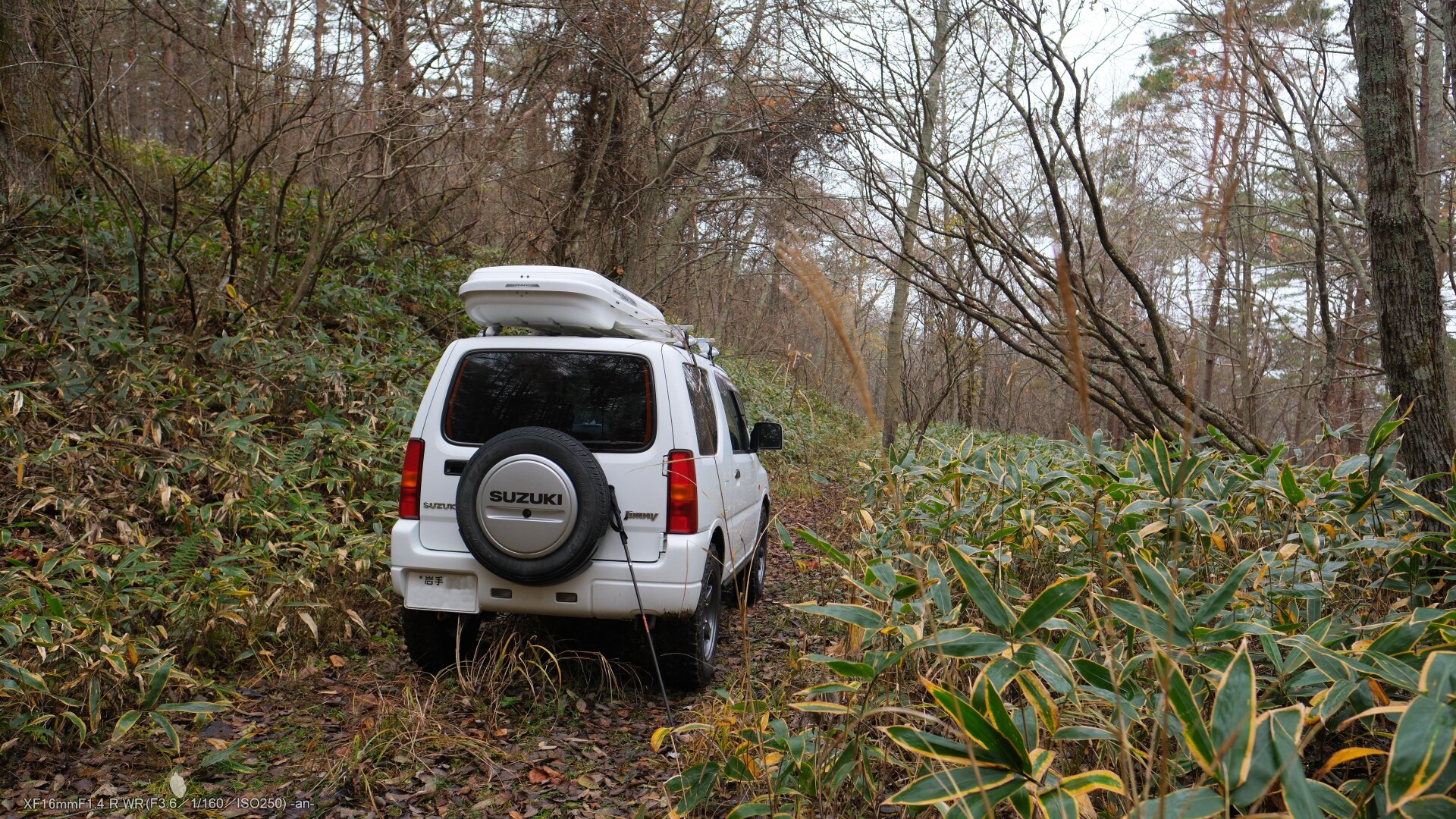 桧沢山819m(遠野市) / an(アン)さんの石上山の活動データ | YAMAP / ヤマップ