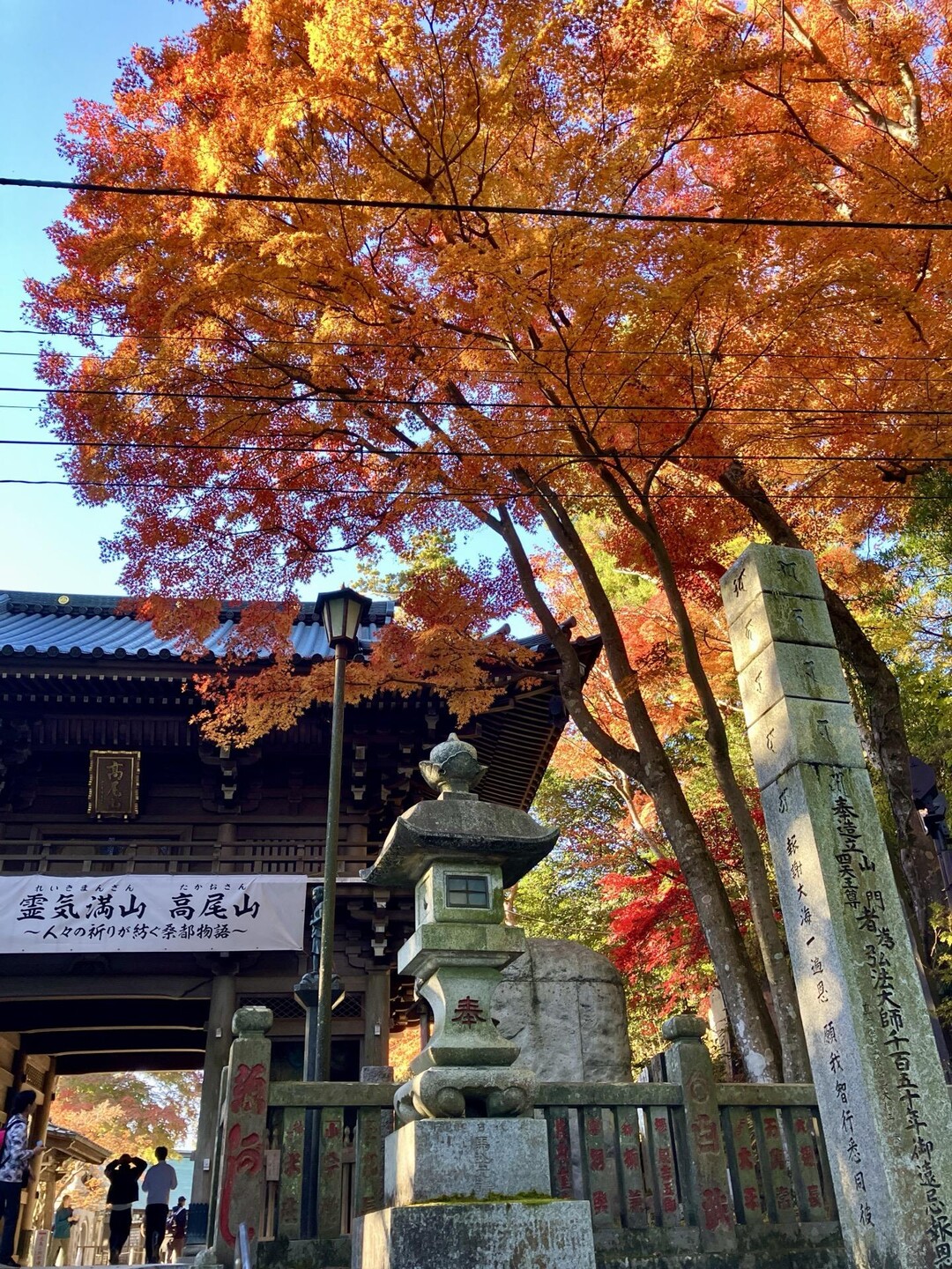 🍂秋色の高尾山 / michyさんの高尾山・陣馬山・景信山の活動データ | YAMAP / ヤマップ