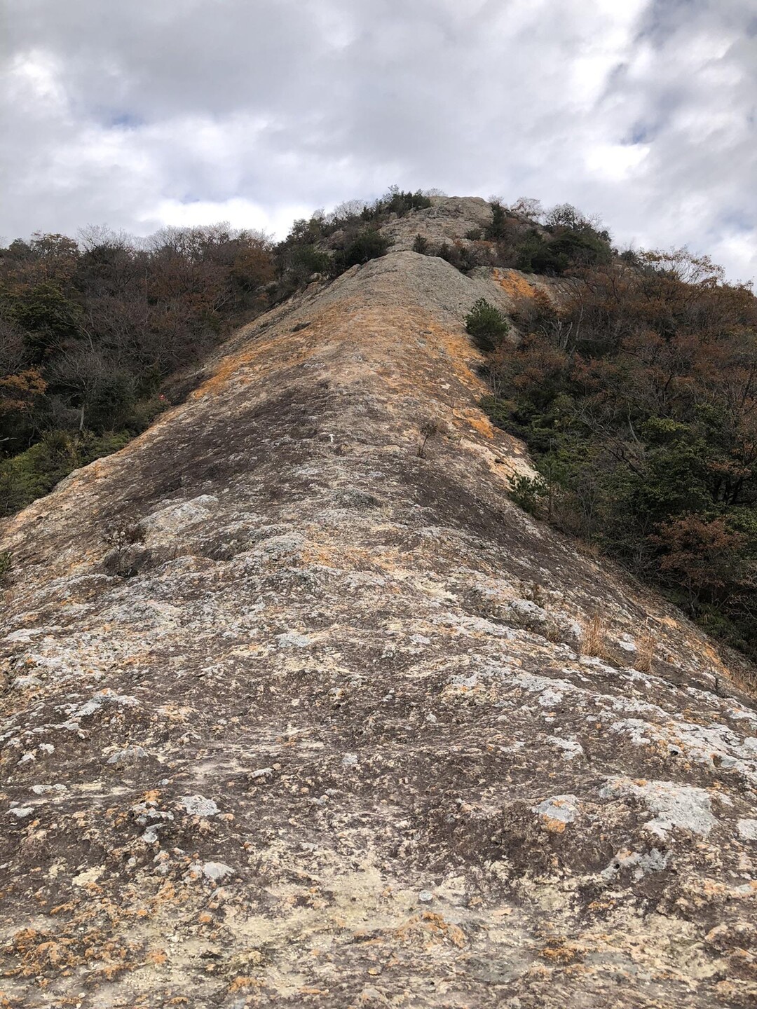 紅山・惣山(小野富士) / umi chanさんの小野アルプス（紅山・惣山）の活動データ | YAMAP / ヤマップ