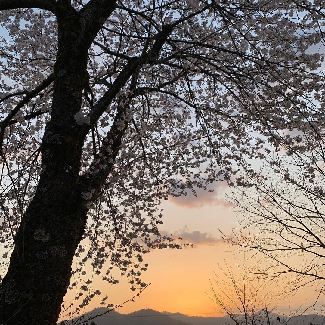 “WA ROCK(ワロック)“をご存知で... / えりさんのモーメント | YAMAP / ヤマップ