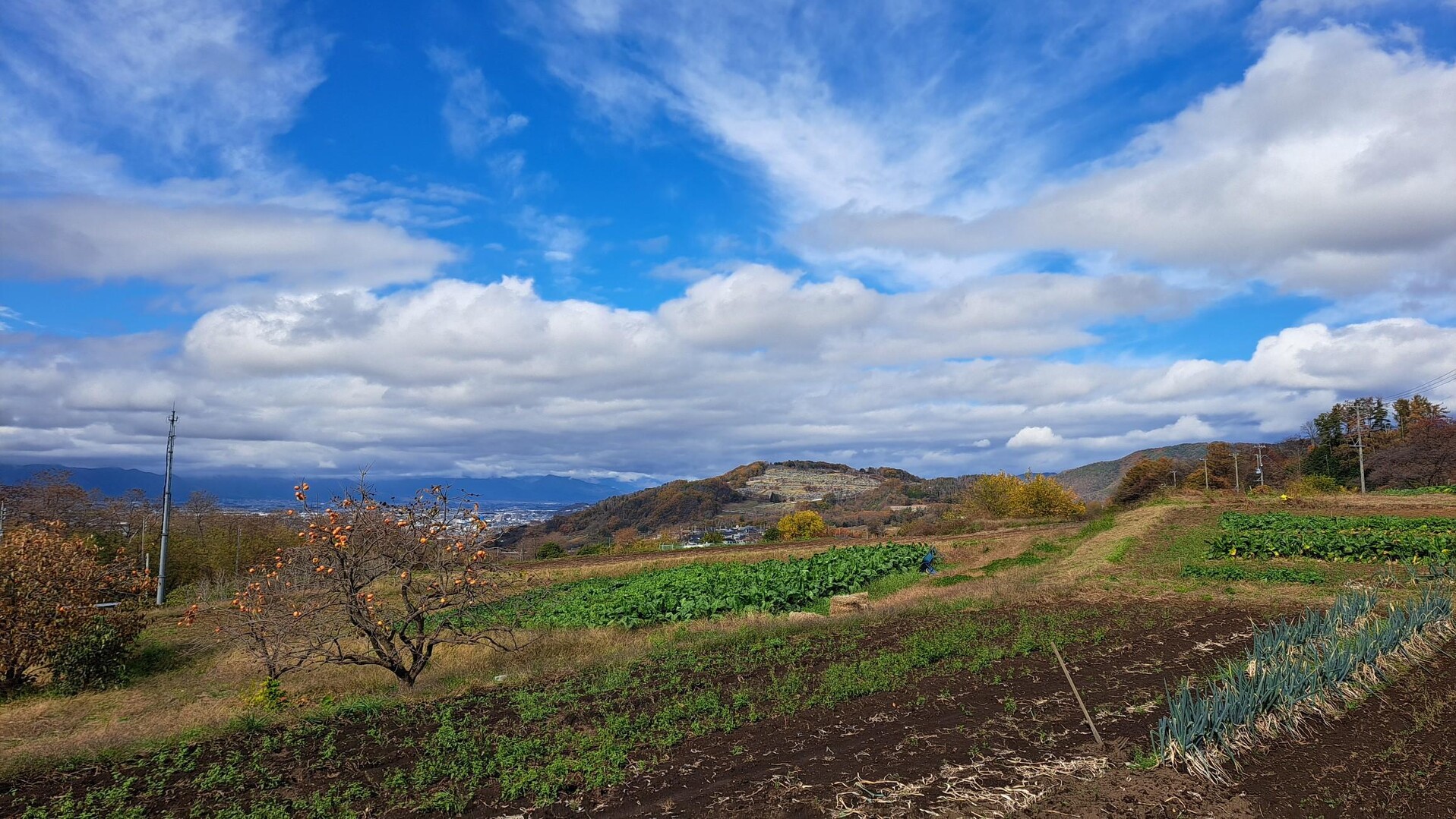 松本市内GPハント🚶‍♂🏃‍♂(大久保山・赤木山) / takabooさんの鉢伏山・高ボッチ山・三峰山の活動データ | YAMAP / ヤマップ
