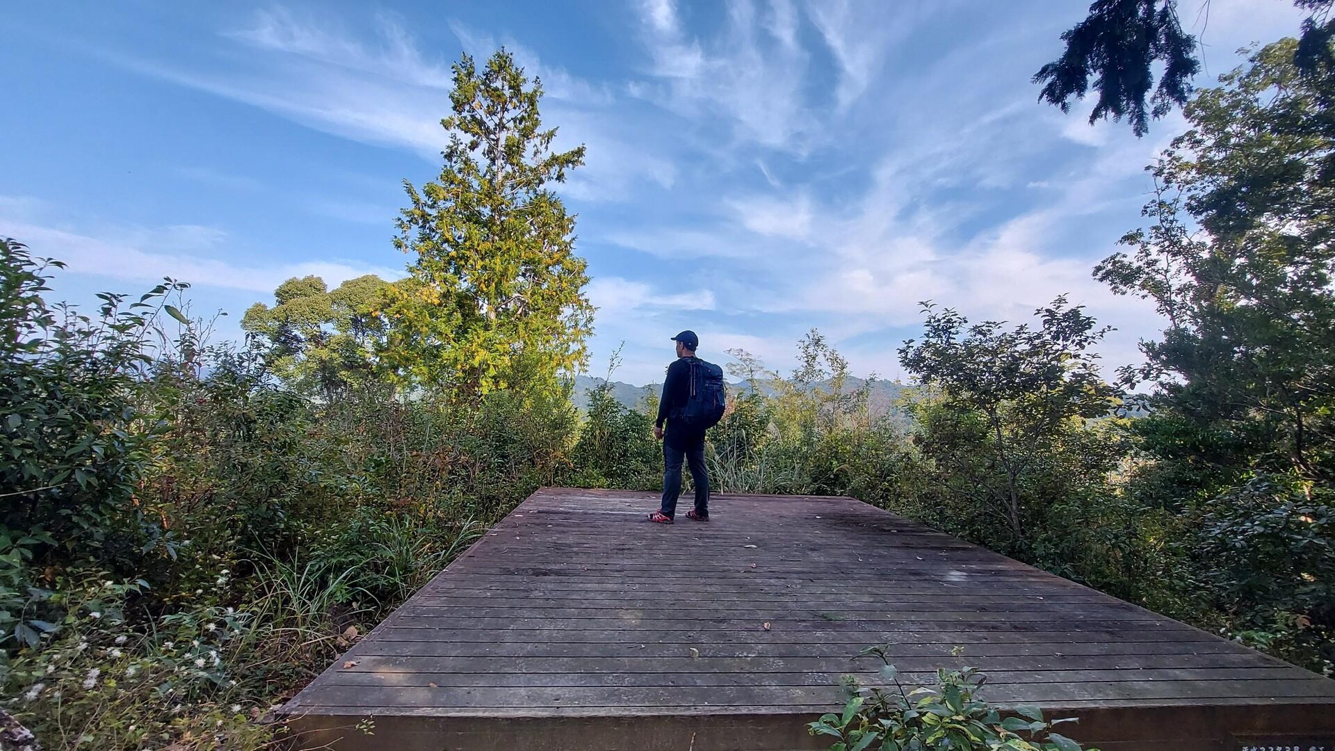 久しぶりに小国神社 本宮山 / piropiroさんの本宮山・高塚山の活動データ | YAMAP / ヤマップ