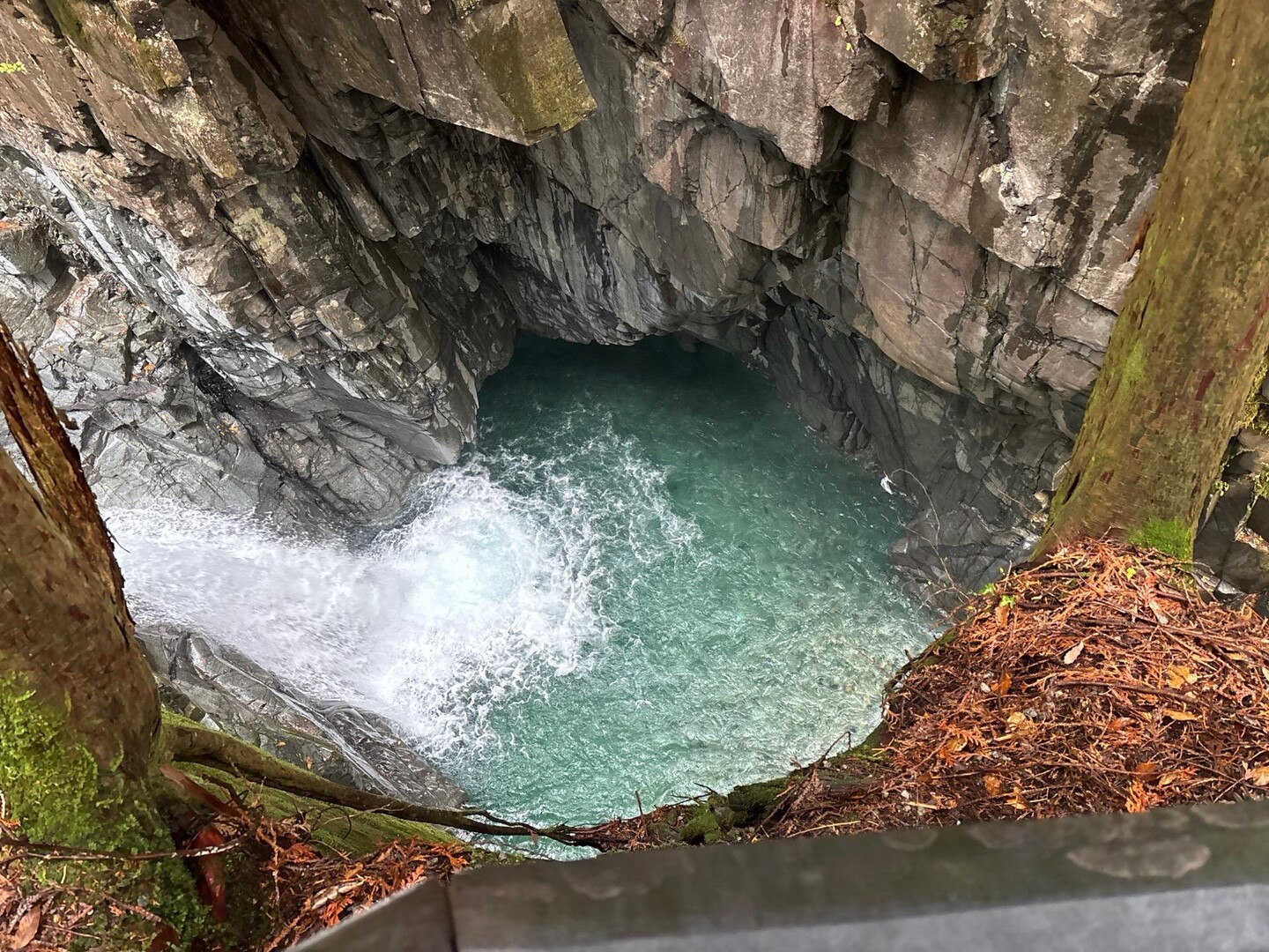 ウォーキング-2024-11-29 / KENJIさんのウォーキングの活動データ | YAMAP / ヤマップ