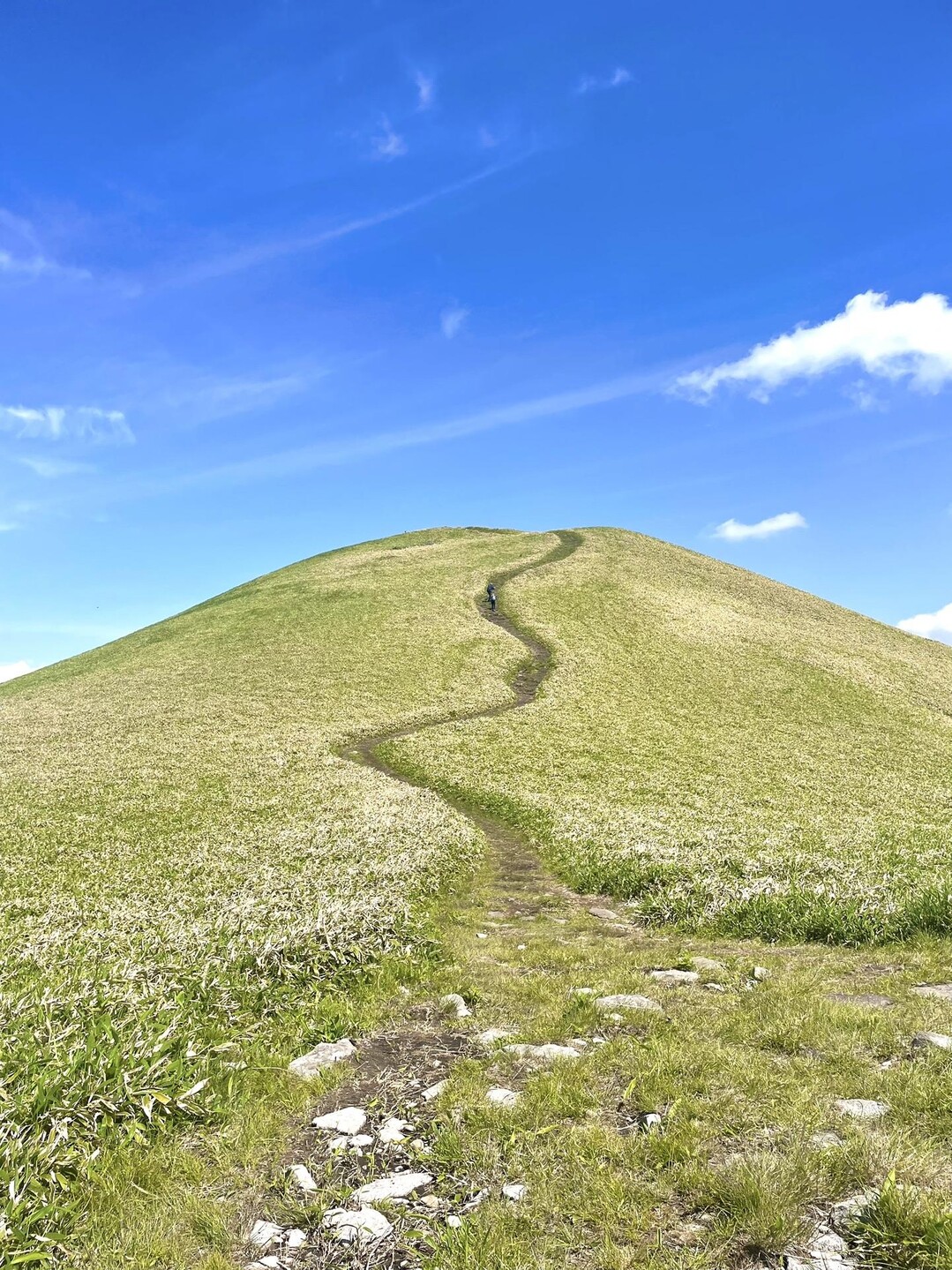 【中央分水嶺トレイル（残り半分）】登山120回目 / tahtaさんの霧ヶ峰・車山・大笹峰の活動データ | YAMAP / ヤマップ