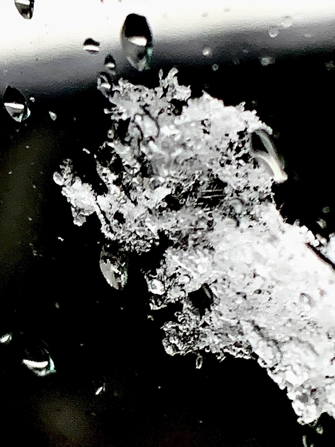 ️雪やこんこ ️ アラレやこんこ ... / 海月さんのモーメント | YAMAP / ヤマップ