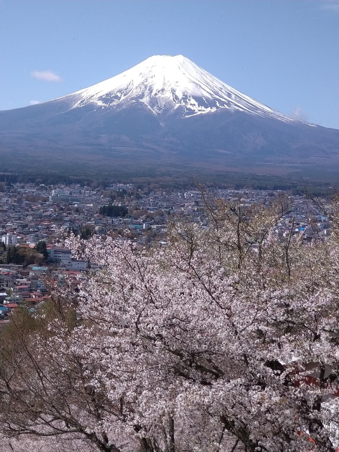 FUJI試走（霜山）csf5 / 大 JAMA登山部さんの三ッ峠山・本社ヶ丸・鶴ヶ鳥屋山の活動データ | YAMAP / ヤマップ