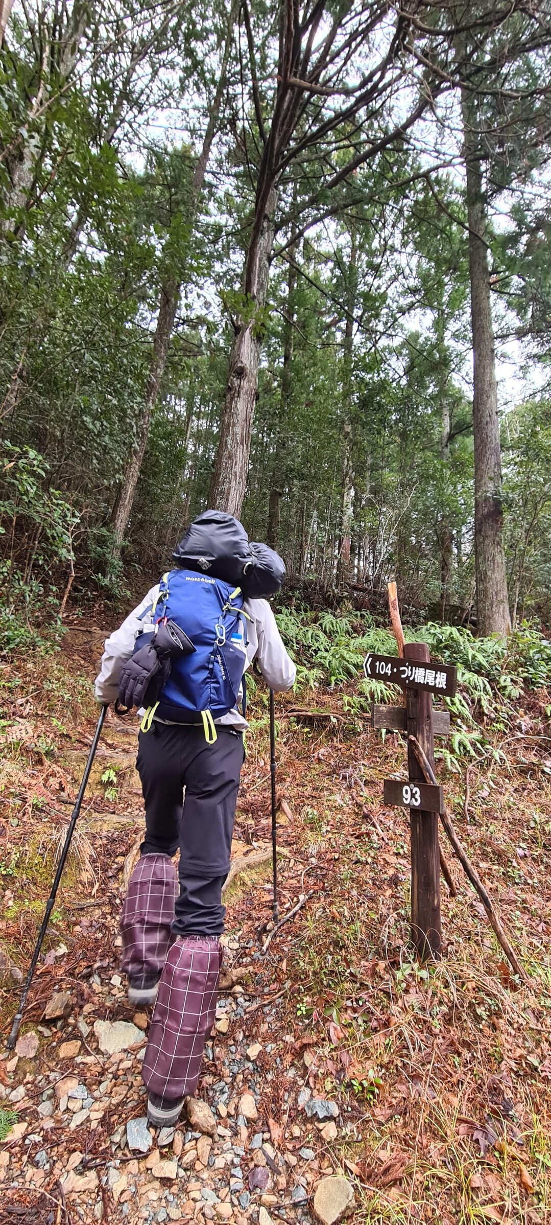 曇りだけど、お家でゆっくりはしてられない... / konkyunさんのモーメント | YAMAP / ヤマップ