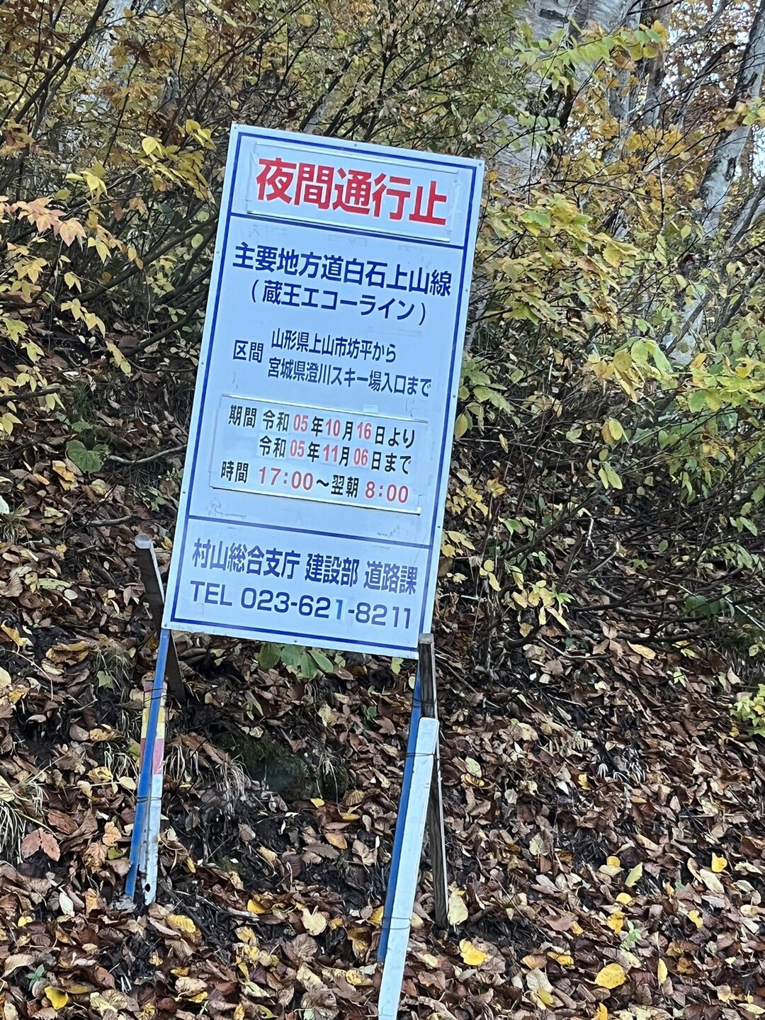 紅葉終わったけど🍁前山・杉ヶ峰・屏風岳 / Lilyさんの蔵王山・雁戸山・不忘山の活動日記 | YAMAP / ヤマップ