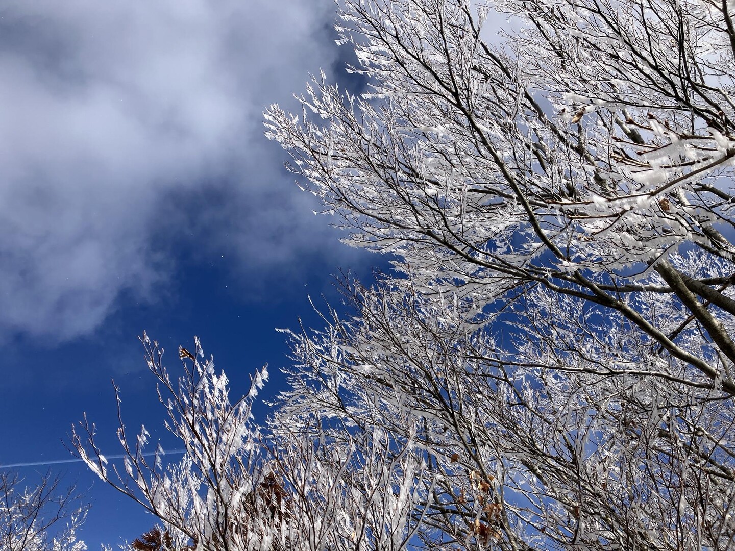 日野山 / sono_01さんの日野山の活動データ | YAMAP / ヤマップ