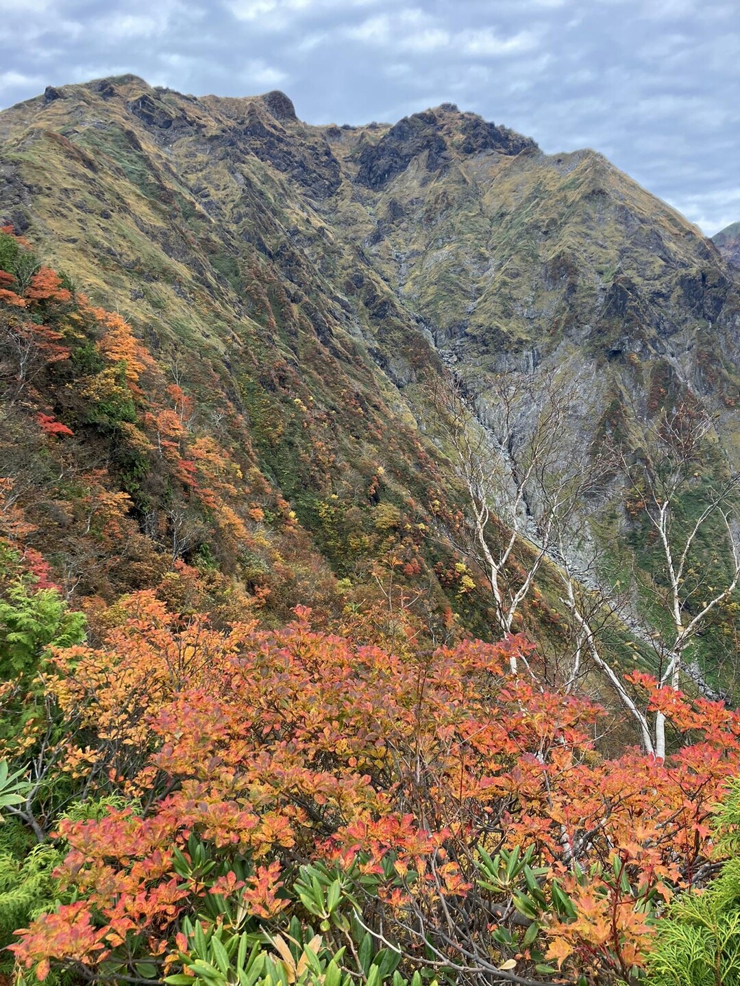 谷川岳（トマの耳）・谷川岳（オキノ耳）・熊穴沢ノ頭 / tenpiさんの谷川岳・七ツ小屋山・大源太山の活動データ | YAMAP / ヤマップ