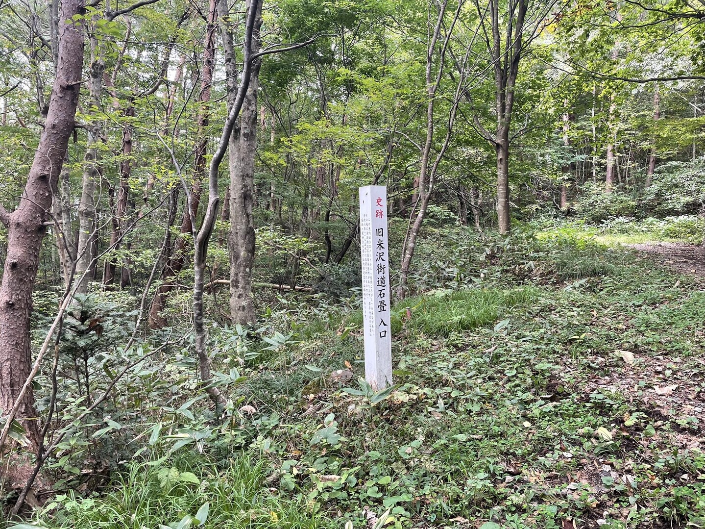 蟹ヶ沢李平 2022-10-12 / Kino-Kino さんのウォーキングの活動データ | YAMAP / ヤマップ