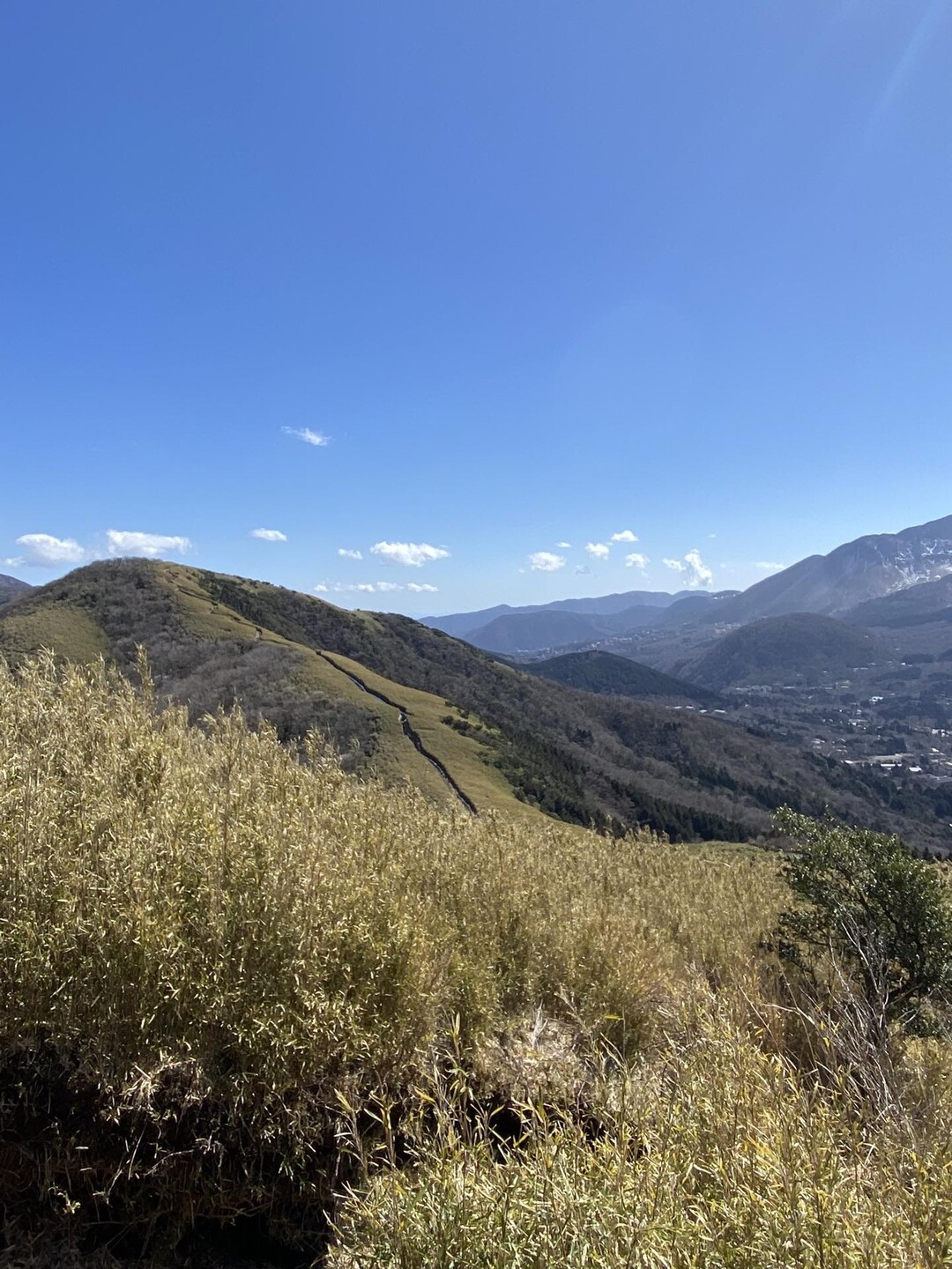 金時山・明神ヶ岳-2024-03-03 / chabicoさんの金時山・明神ヶ岳の活動データ | YAMAP / ヤマップ