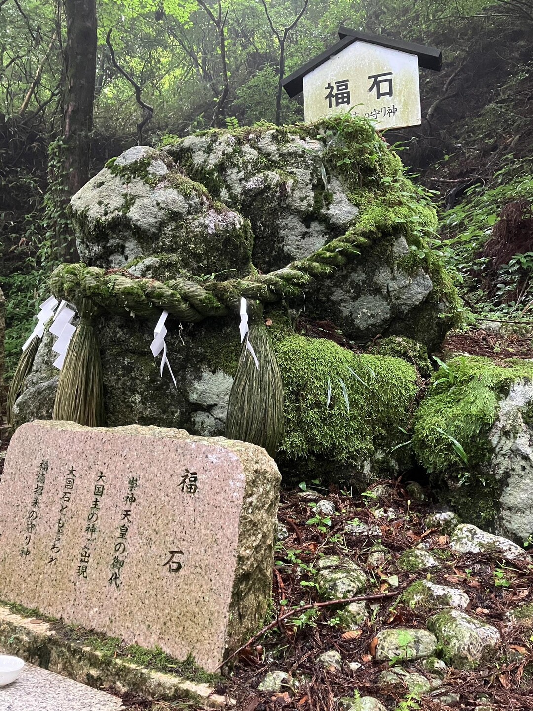 金剛山 歩荷トレ第二弾 / 恵美 Emiさんの金剛山・二上山・大和葛城山の活動データ | YAMAP / ヤマップ